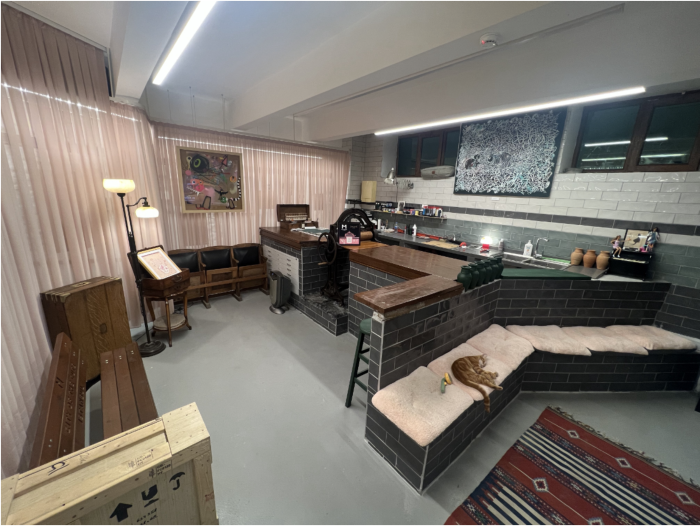 Homepage | Cat Museum Istanbul