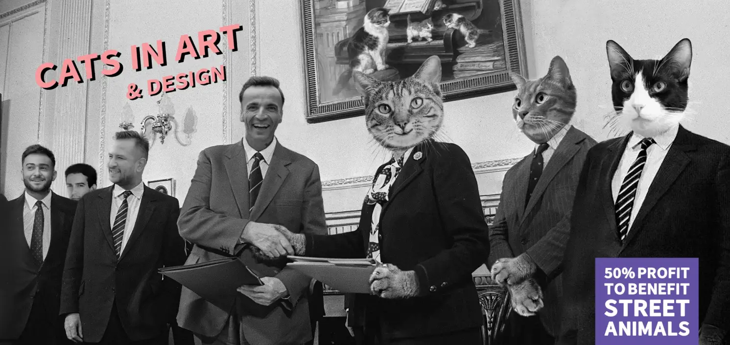 Mağaza | Cat Museum Istanbul